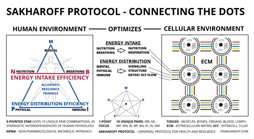 Sakharoff Protocol for Health & Resilience – Misha Sakharoff